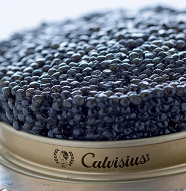 Calvisius Siberian Royal – BELLOTA&CAVIAR